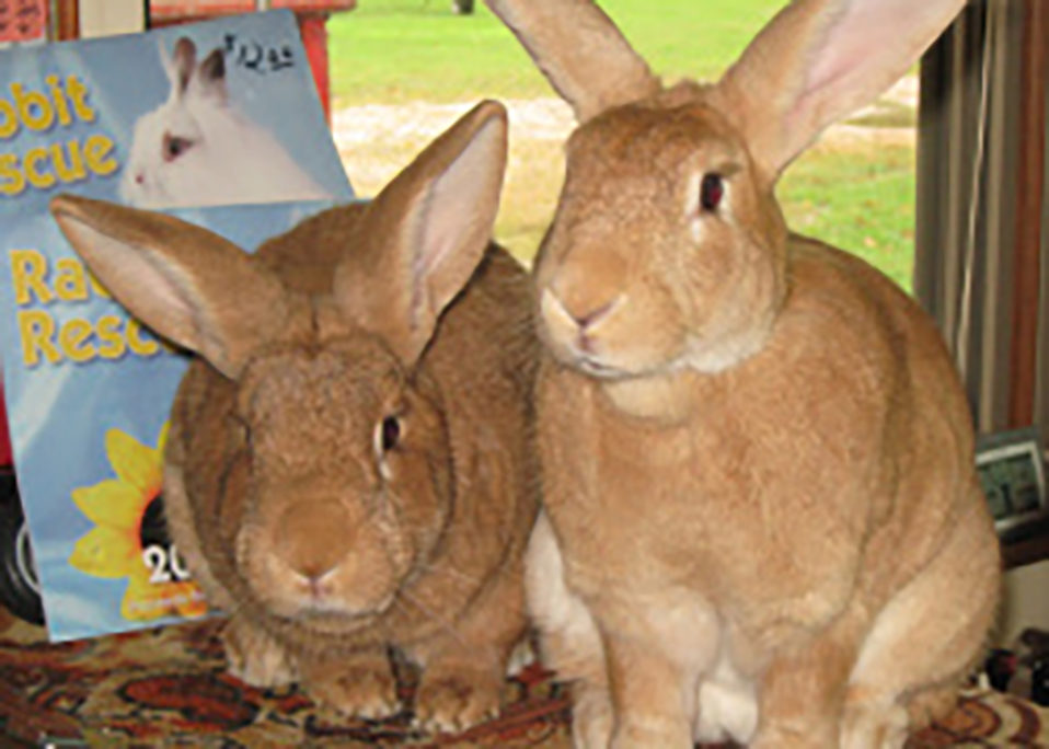 Central Illinois Route 66 Landmarks – Litchfield Museum